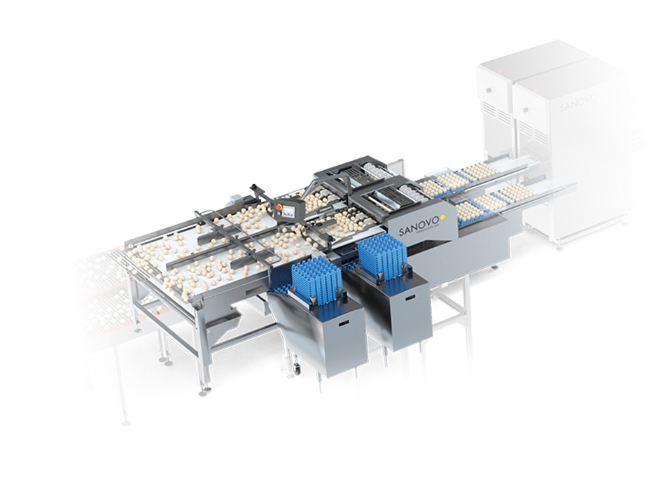 Farmpacker 200 | Efficient Egg Packer Machine for Large Farms | Sanovo ...