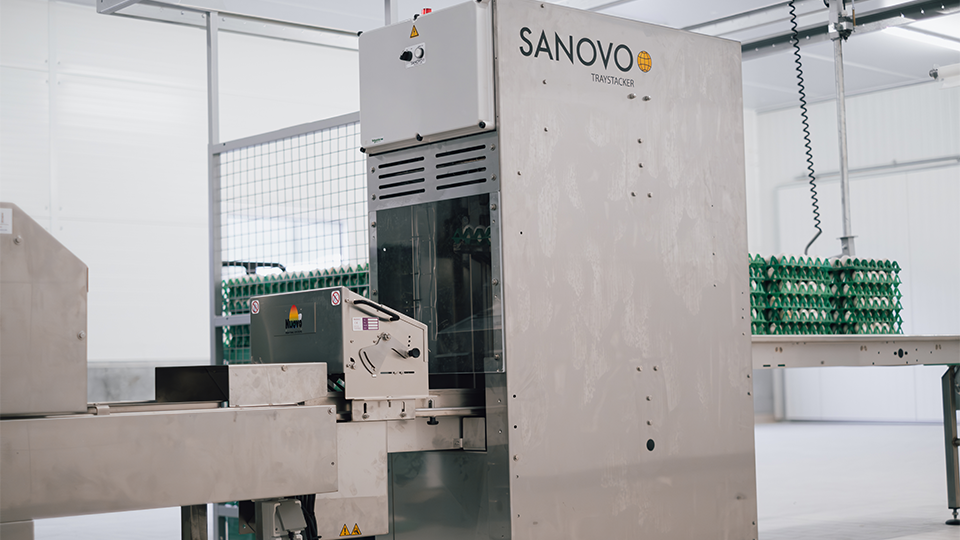 On-Farm Egg Packing Station | Efficient & Hygienic Egg Handling ...