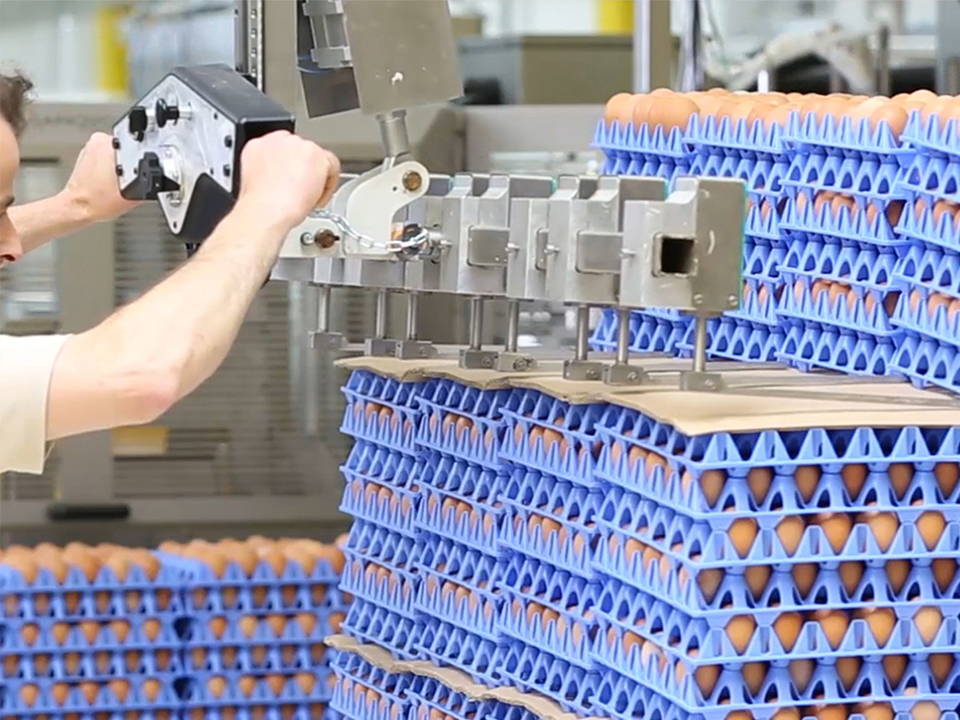 Power Lift | Semi-Automatic Egg Handling Solution for Factories ...