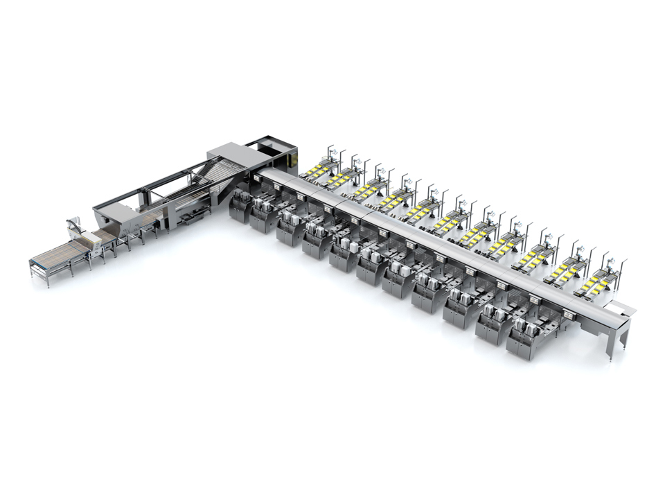 Egg Grading Excellence: GraderPro - 600 Cases/Hour, Single Egg ...
