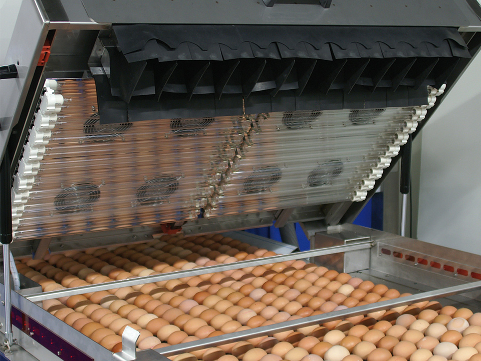 OptiGrader 600 Egg Grading Machine | Large-Scale Hygiene and Precision | Sanovo Technology