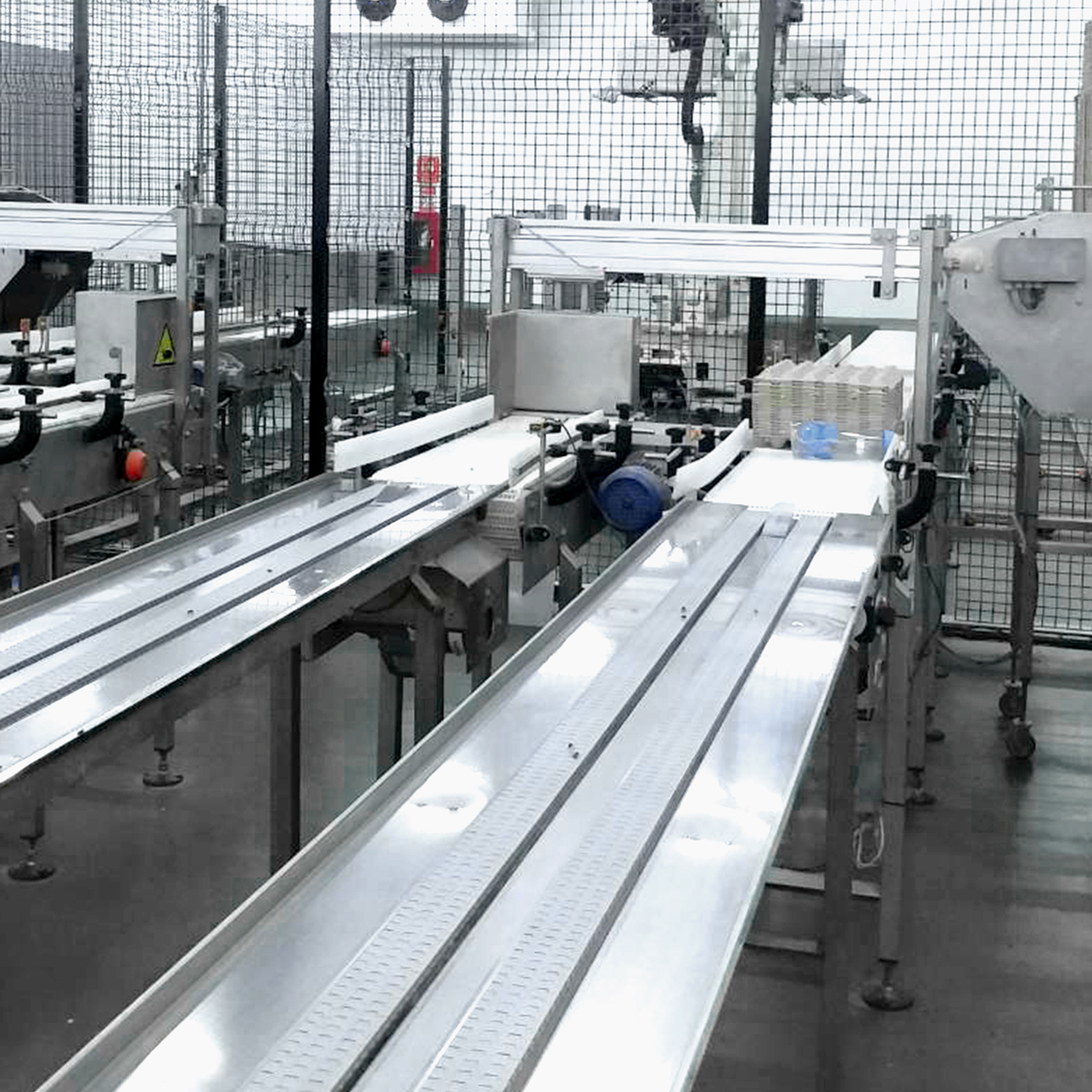 Cargo Palletizer (Egg Pallets)| Automate Pallet and Interlayer Handling ...