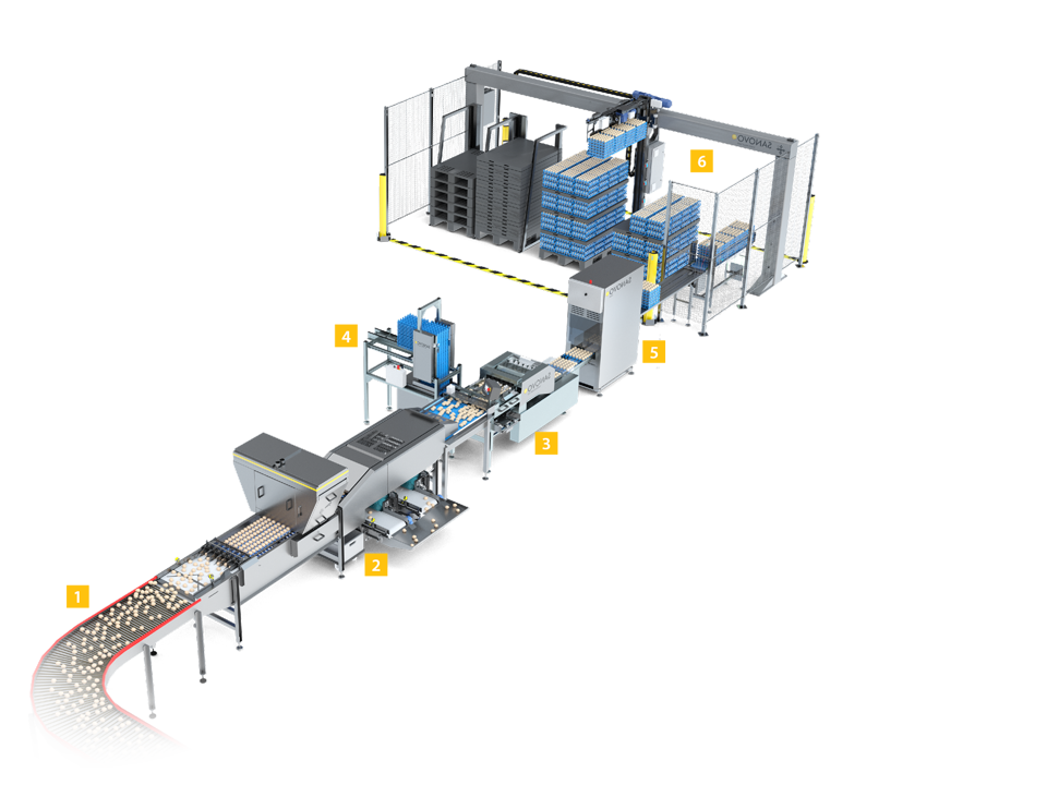 On-Farm Egg Packing Station | Efficient & Hygienic Egg Handling ...