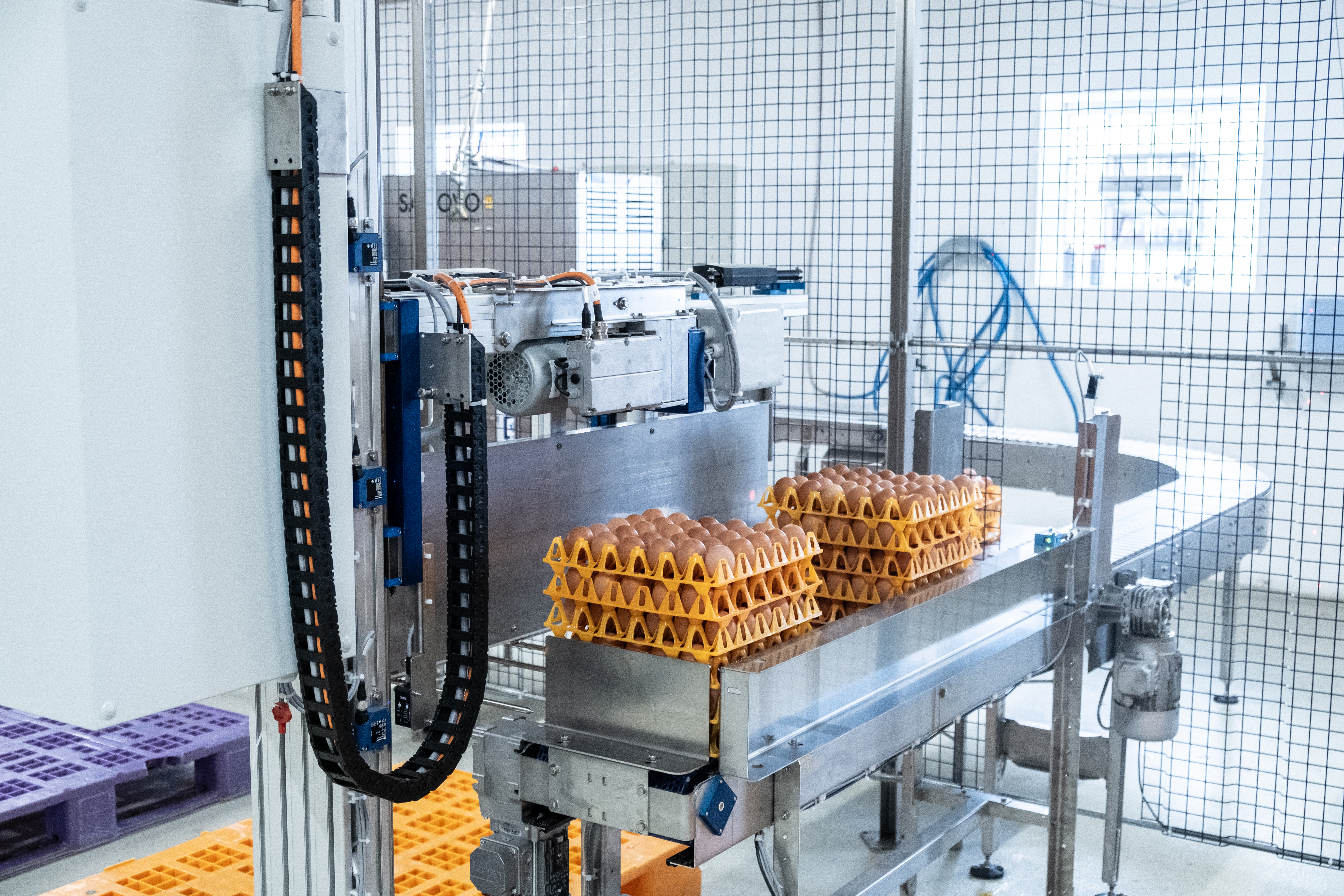 Fully Automated Tray Stack Palletizing Machine - SANOVO Stack ...