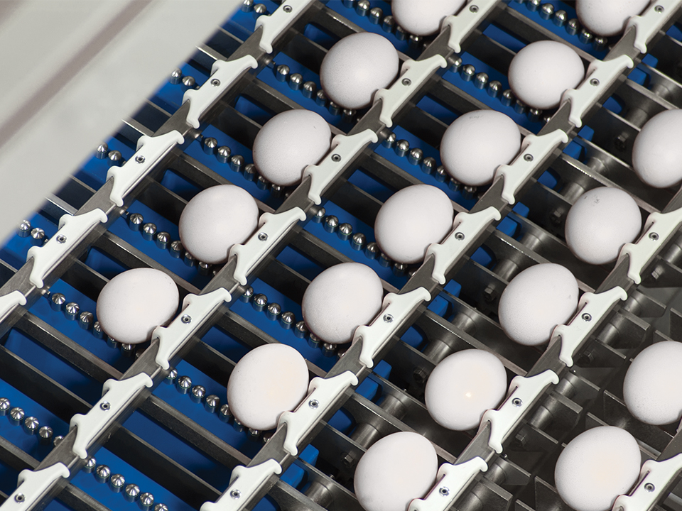 OptiGrader 400 Egg Grading Machine | Hygienic and Reliable Grading ...