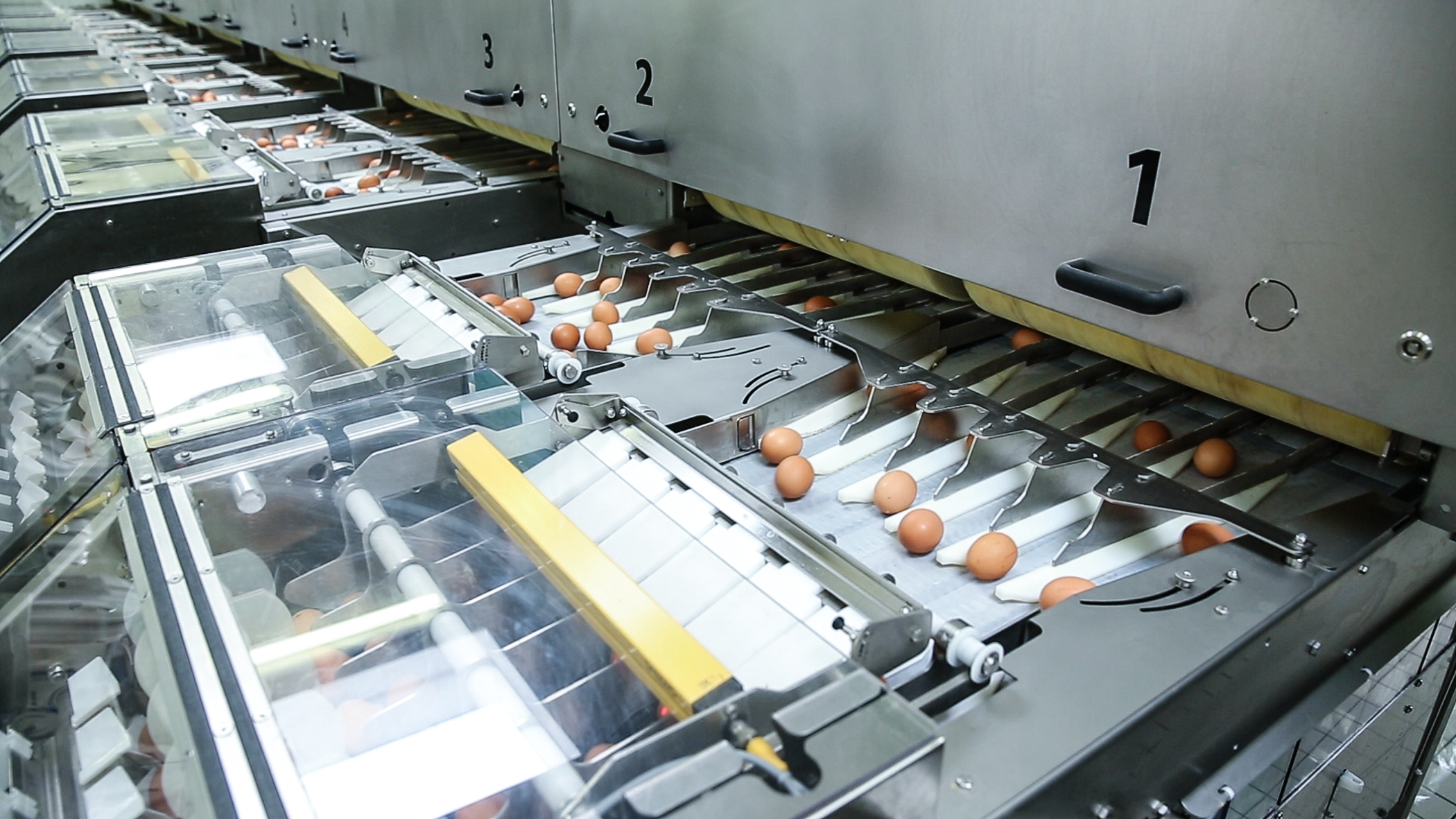 OptiGrader 600 Egg Grading Machine | Large-Scale Hygiene and Precision ...