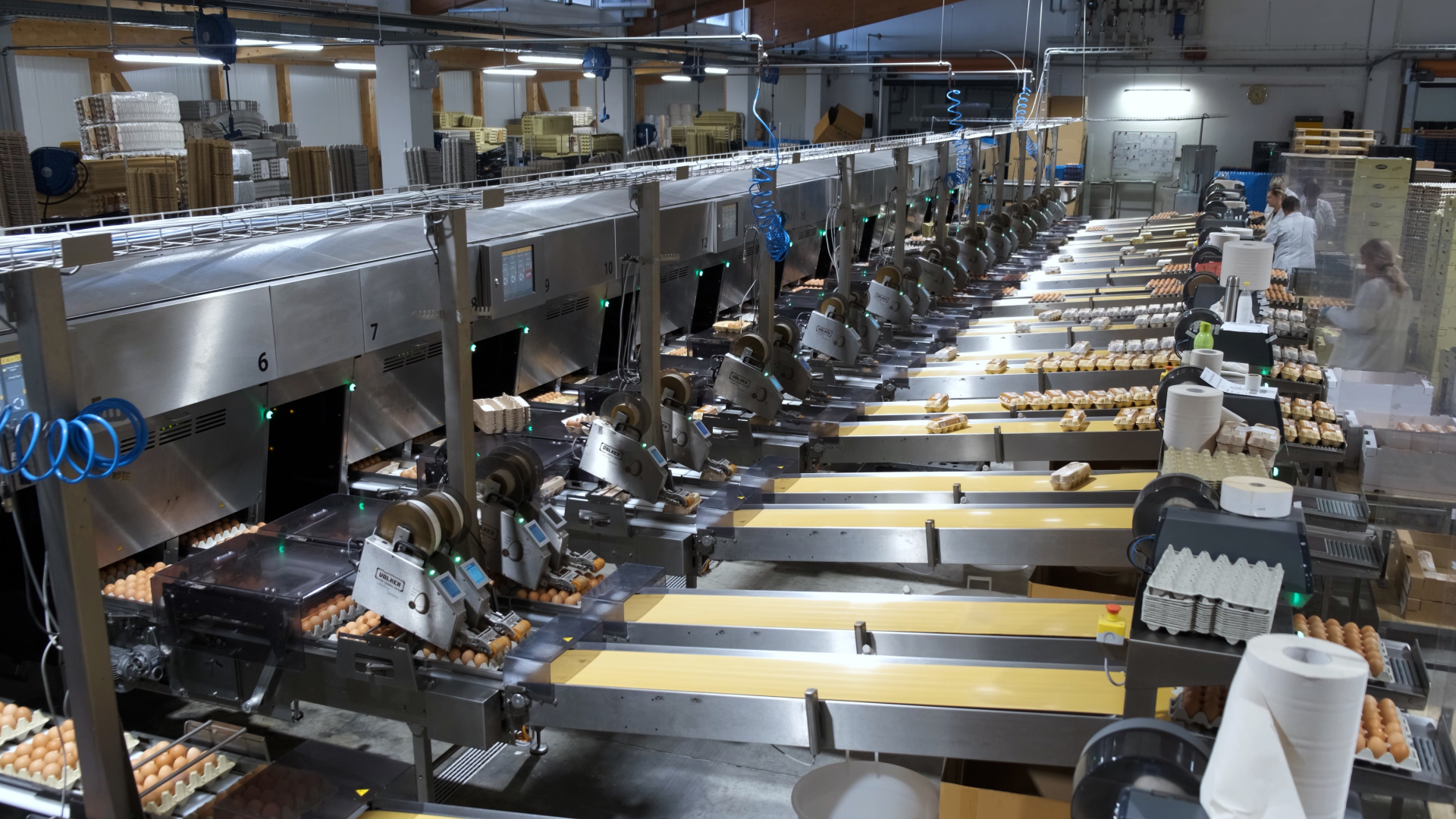 Gnaser FrischEi & EiVita: De los huevos con cáscara a la producción de ...