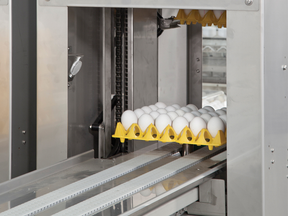 Farmpacker 200 | Efficient Egg Packer Machine for Large Farms | Sanovo ...