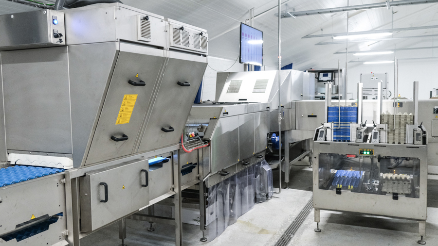 GraderPro 220 Egg Grading Machine: 79,200 Eggs/Hour with Single Egg ...