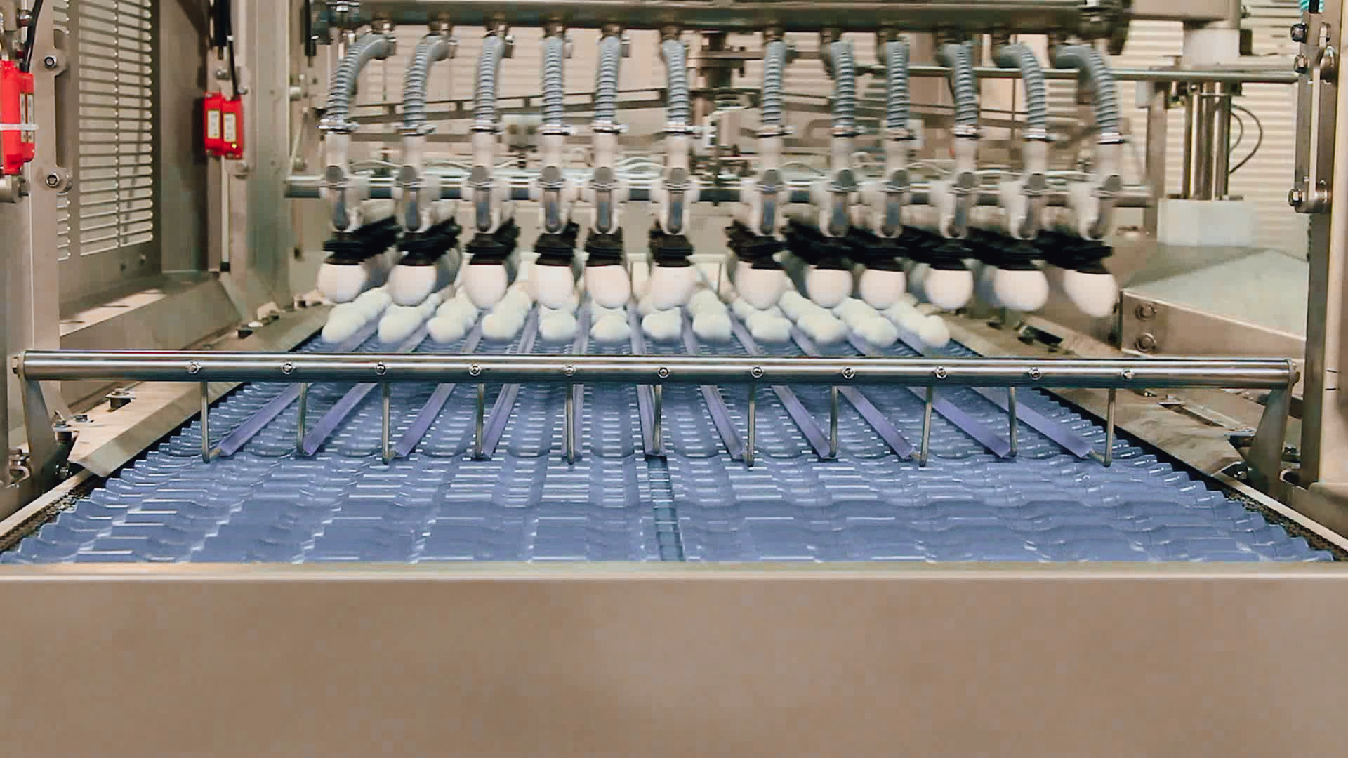 OptiLoader Plus 12C | Reliable Egg Loader with Gentle Handling | Sanovo ...