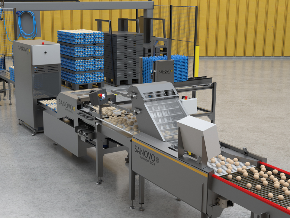 On-Farm Egg Packing Station | Efficient & Hygienic Egg Handling ...