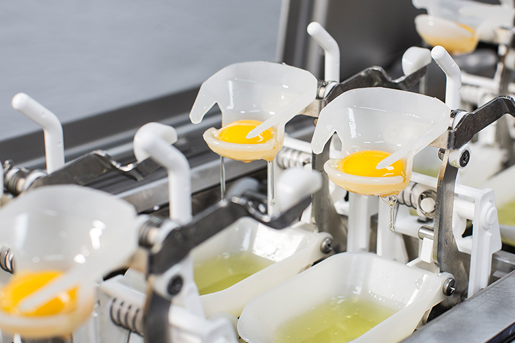 Training for Egg Processing Equipment | SANOVO Experience Center ...