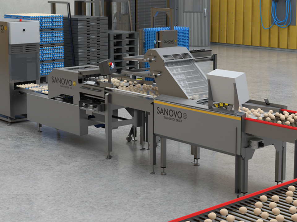 On-Farm Egg Packing Station | Efficient & Hygienic Egg Handling ...