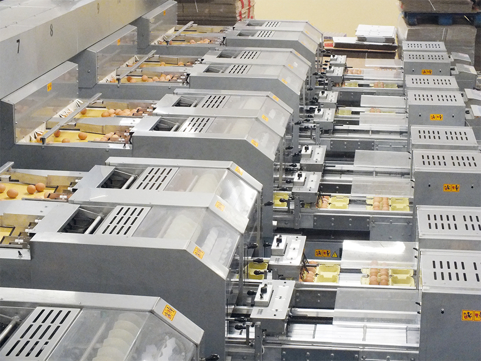 Ardenta 300 Egg Grading Machine | Hygienic Design and Simplified ...