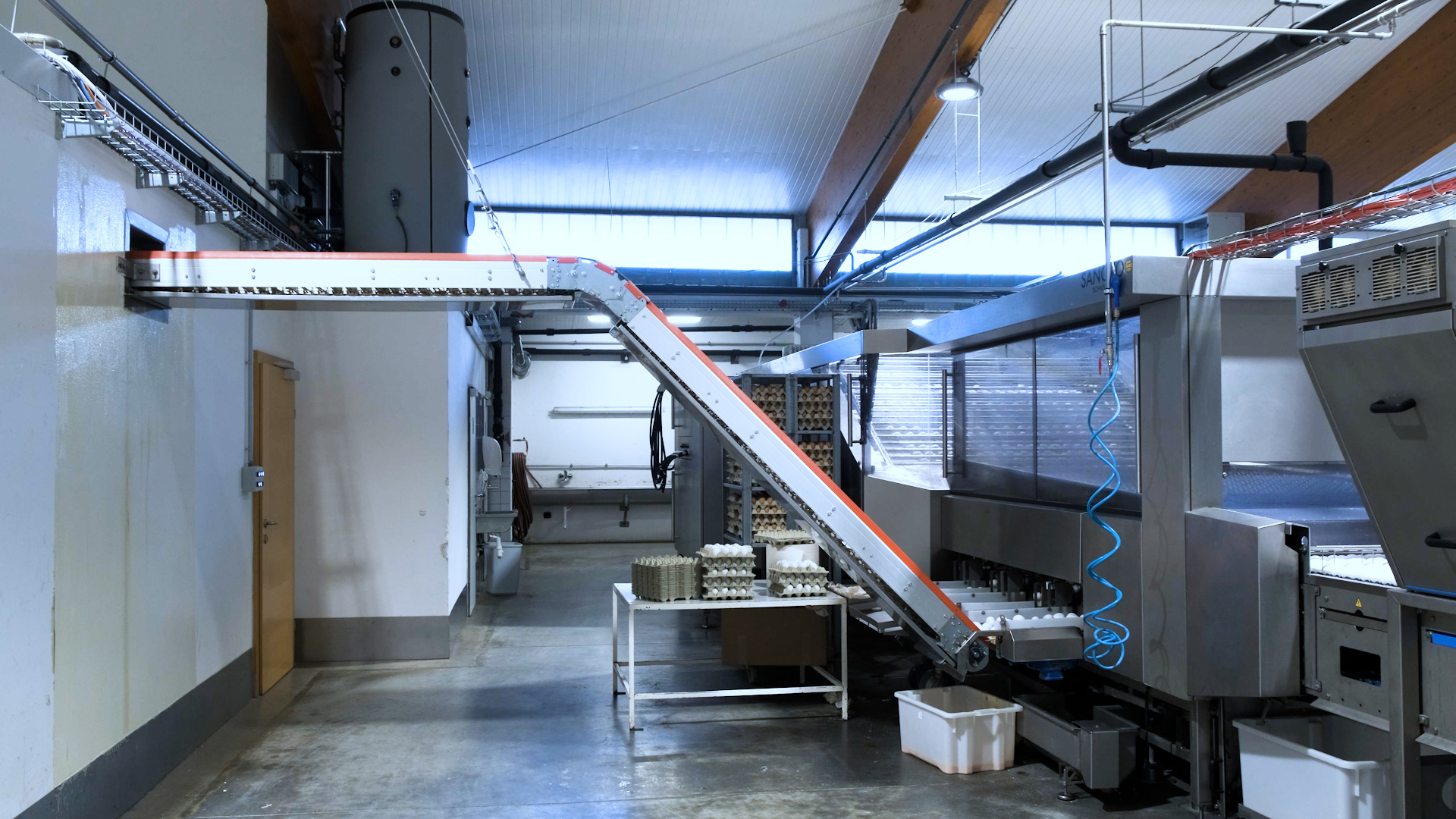 Egg Grading Excellence: GraderPro - 600 Cases/Hour, Single Egg ...