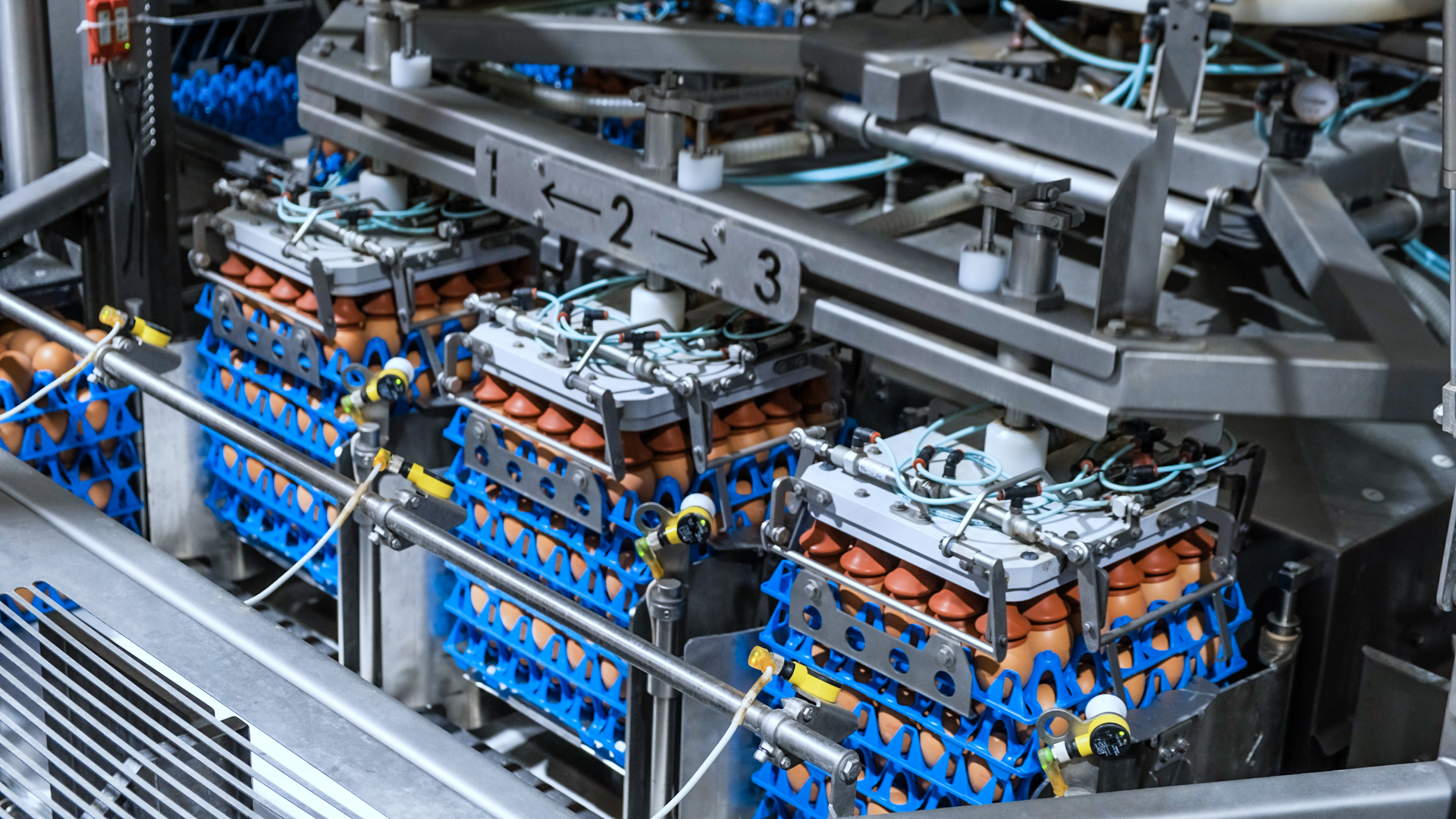 OptiLoader Plus 18C | Space-Efficient Egg Loader for High-Capacity ...