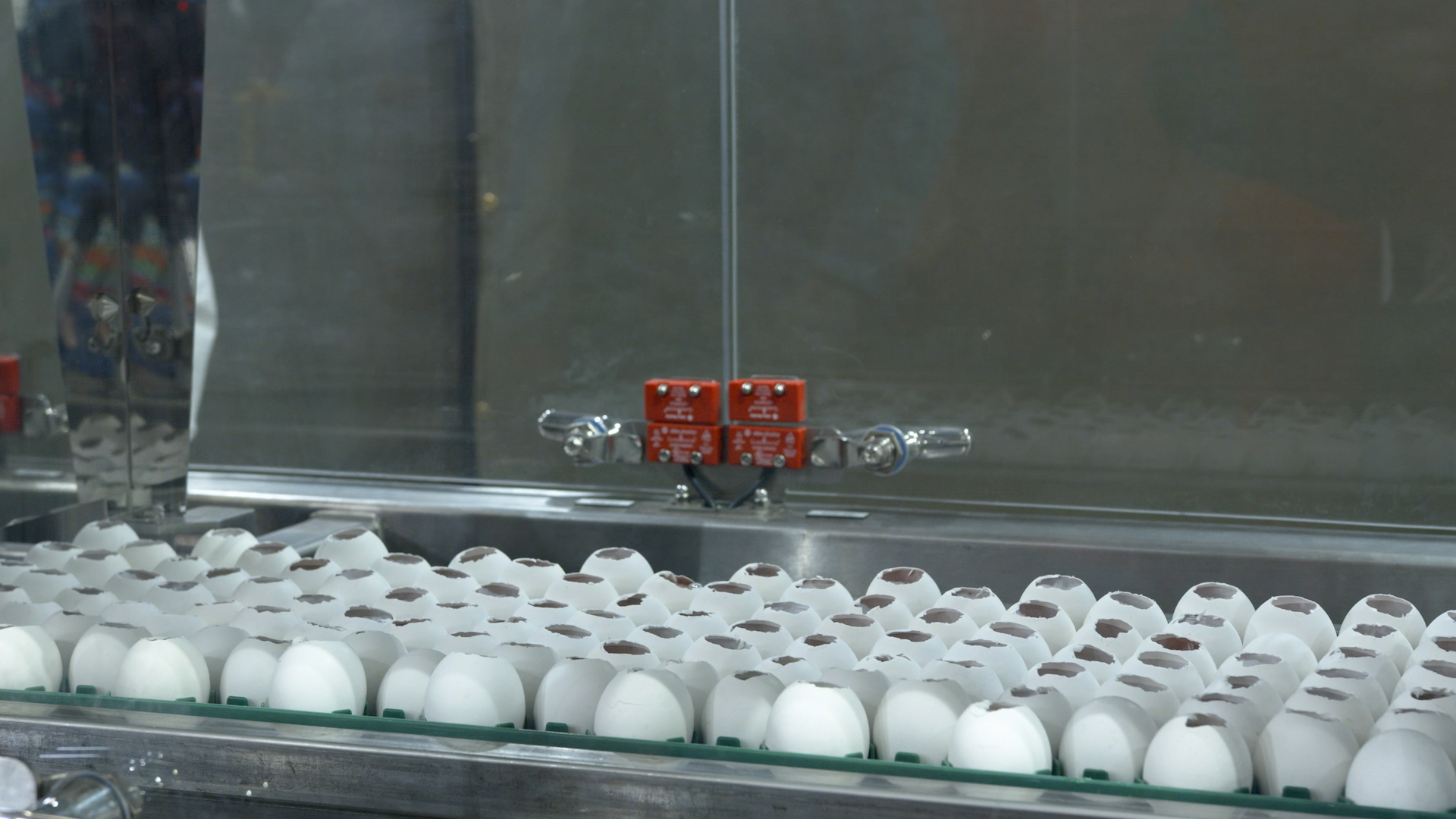 Automatic Egg Harvester – 35,000 Eggs/Hour for Vaccines | Sanovo Technology