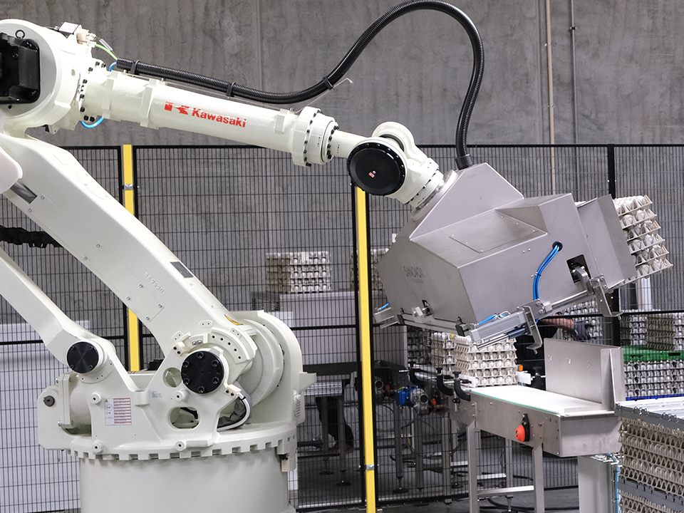 Egg Palletizer: Efficient Robotic Egg Case Palletizing System | Sanovo ...