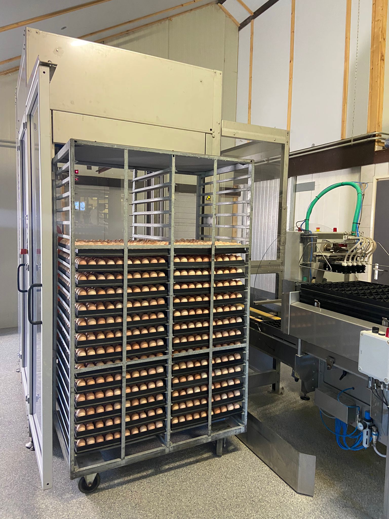 HatchPerformance Trolley Loader | Automated Setter Tray Stacking for ...