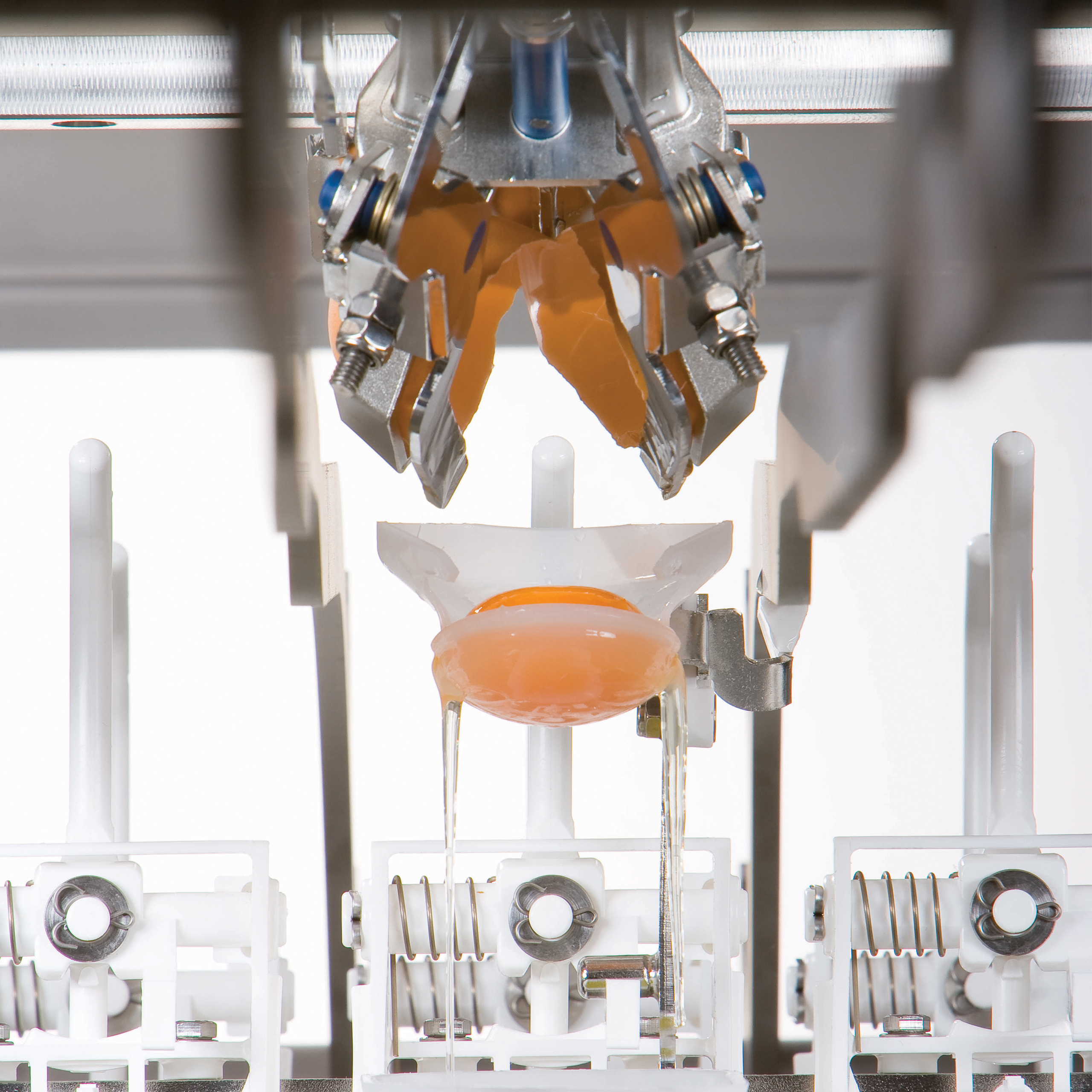 SANOVO OptiBreaker Plus 6: Premier Egg Breaking Machine for Liquid Egg ...