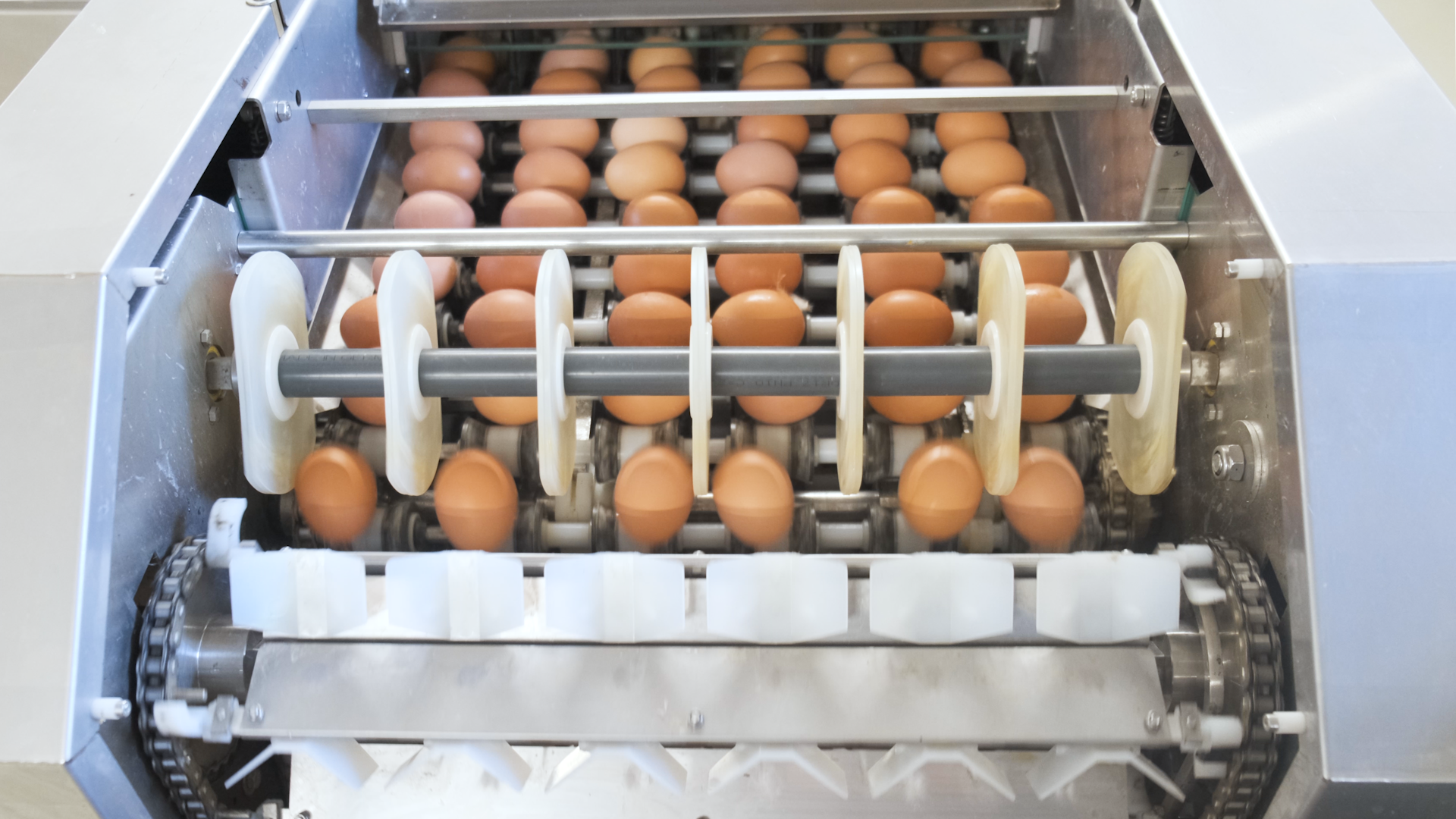 Farmpacker 200 | Efficient Egg Packer Machine for Large Farms | Sanovo ...