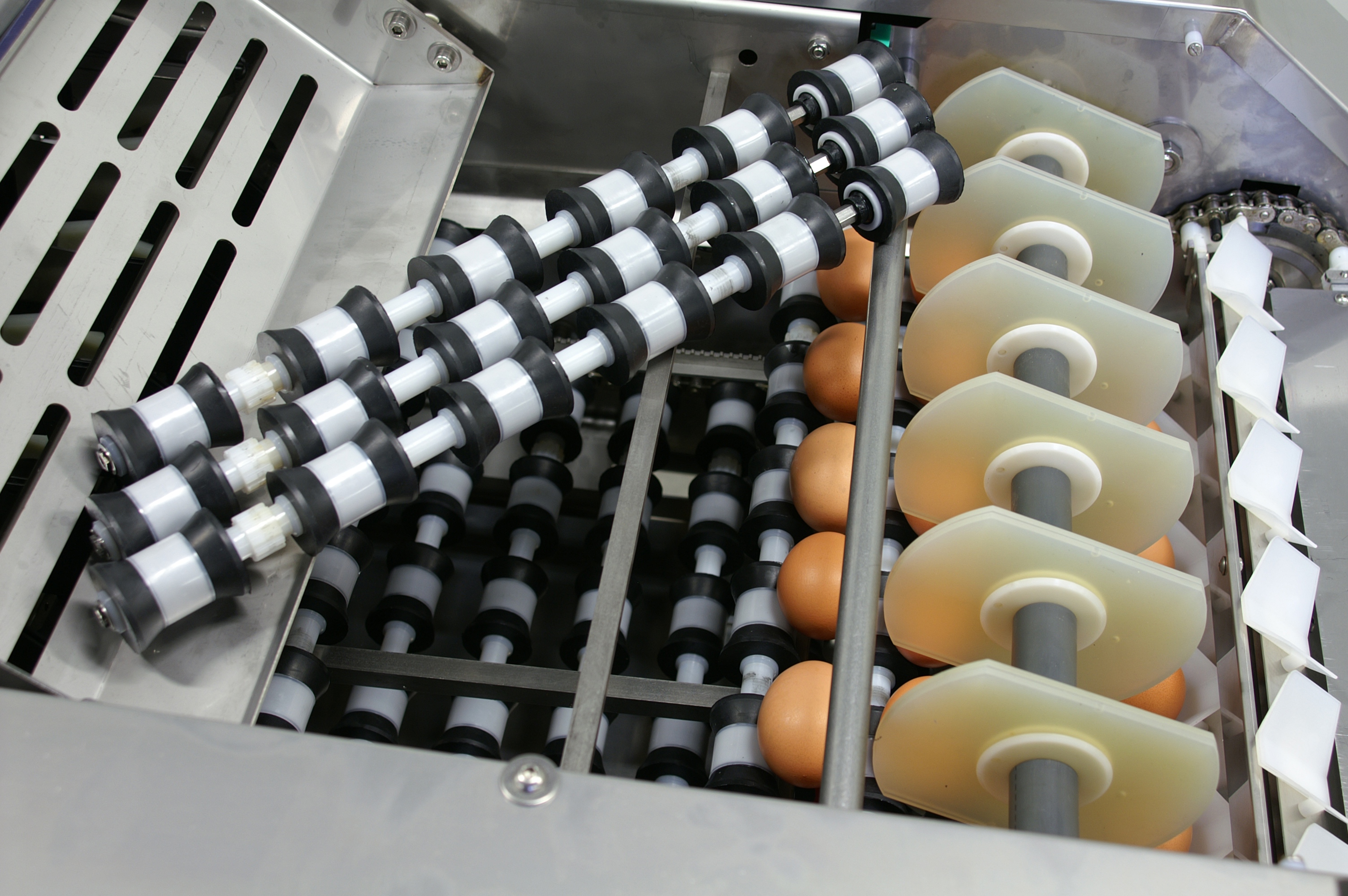 Farmpacker 200 | Efficient Egg Packer Machine for Large Farms | Sanovo ...