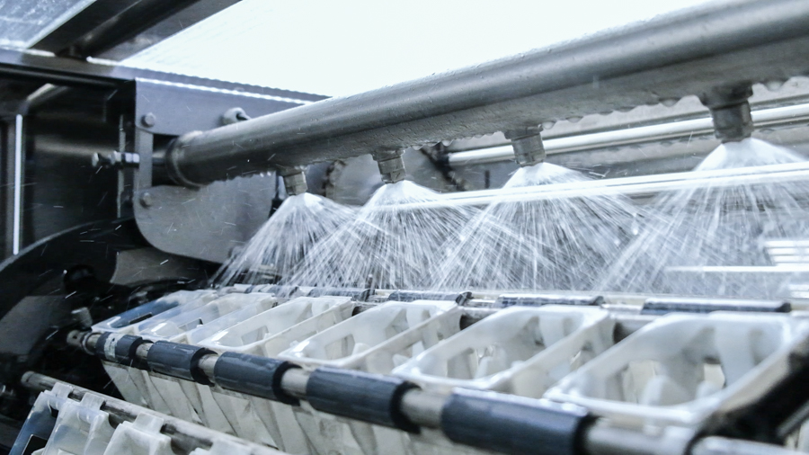 GraderPro 220 Egg Grading Machine: 79,200 Eggs/Hour with Single Egg ...