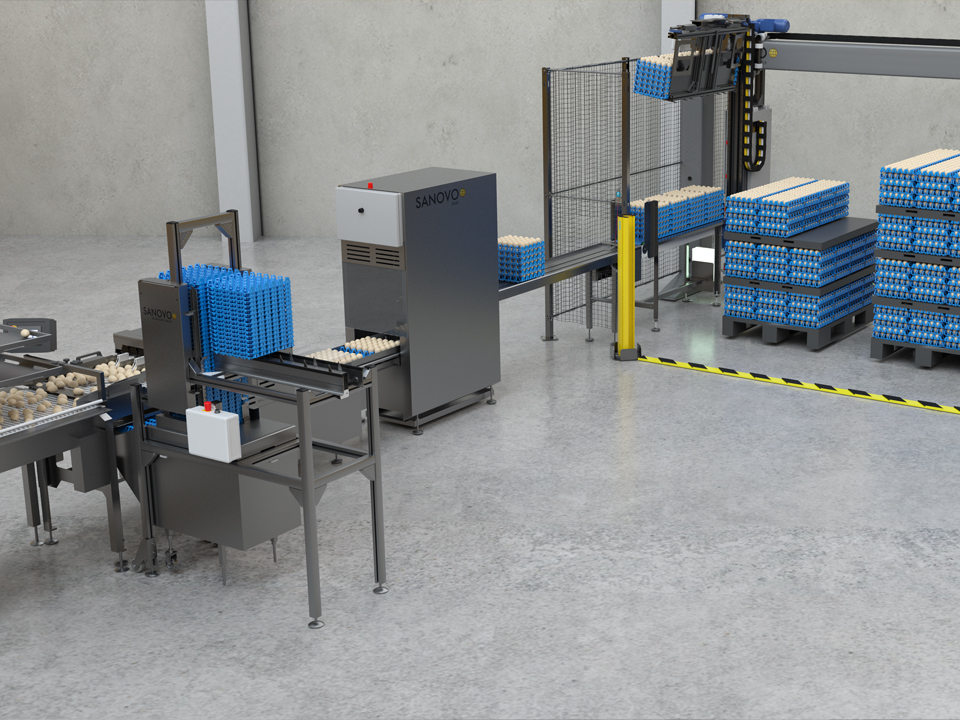On-Farm Egg Packing Station | Efficient & Hygienic Egg Handling ...