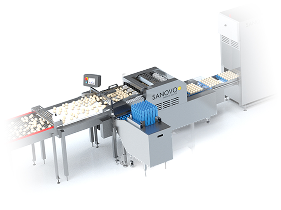 On-Farm Egg Packing Station | Efficient & Hygienic Egg Handling ...