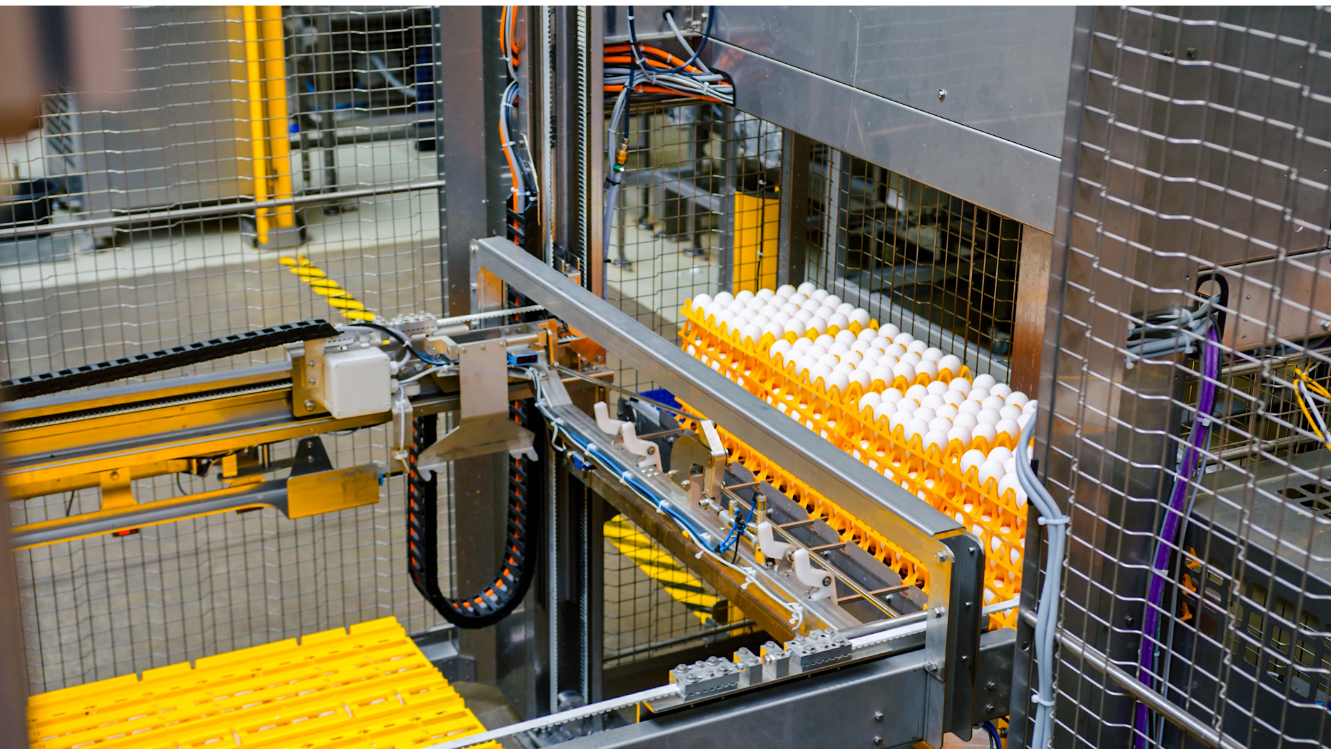 Depalletizer 400 | Durable Cartesian Robot for Egg De-Palletizing - Egg ...