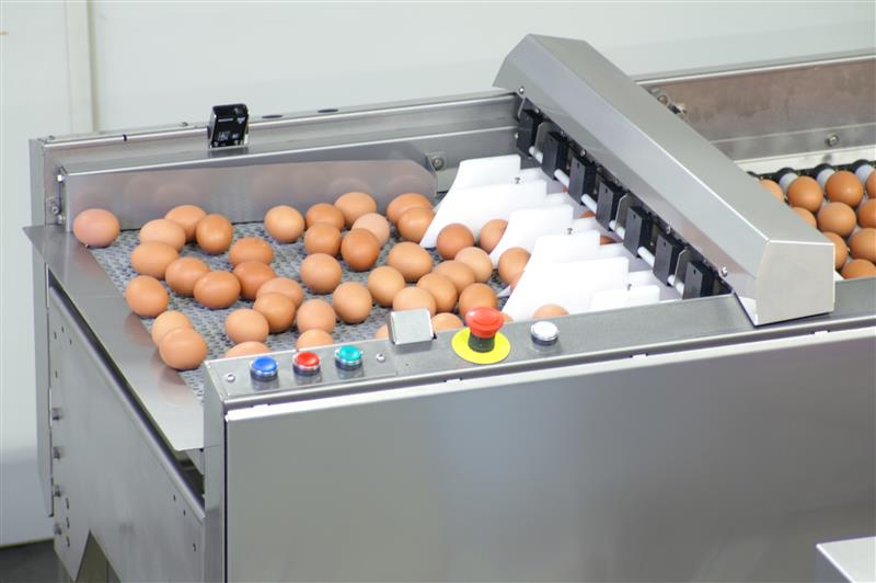 Farmpacker 24000 | Gentle and Flexible Egg Packing Solution | Sanovo ...