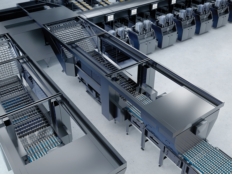 Turn Your Eggs into Profits with the GraderPro 800 - Grade 288,000 Eggs ...