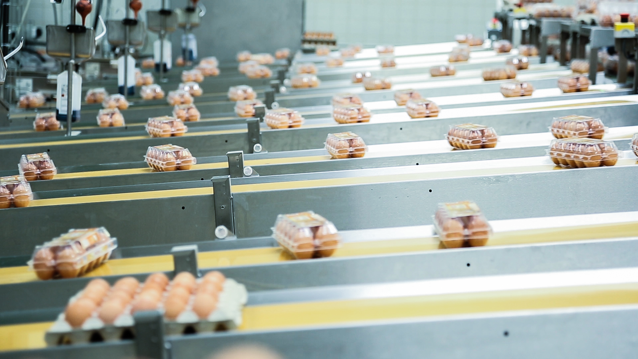 OptiGrader 400 Sorteermachine voor eieren | Hygiënisch en betrouwbaar ...