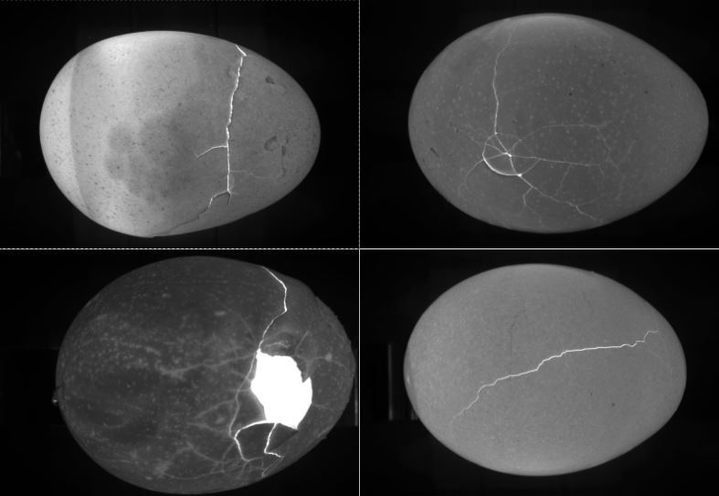 AI-Based Computer Vision for Egg Crack Detection | Sanovo Technology