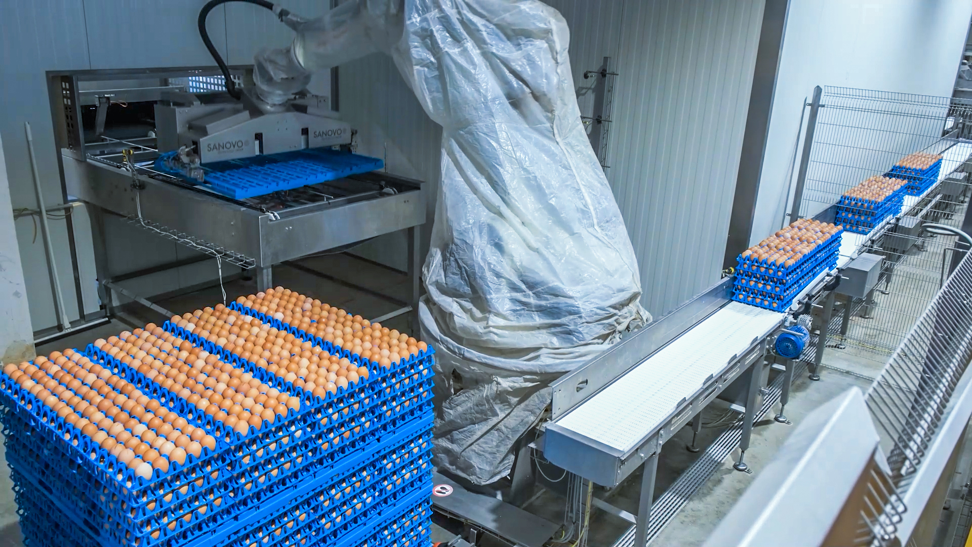 Depalletizer 600 | High-Capacity Egg Tray, Pallet, and Interlayer ...