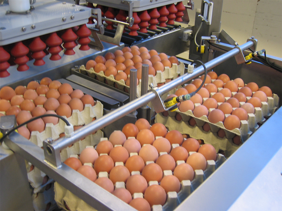 OptiLoader 18 | Chargeur d’œufs efficace pour les opérations de cassage ...