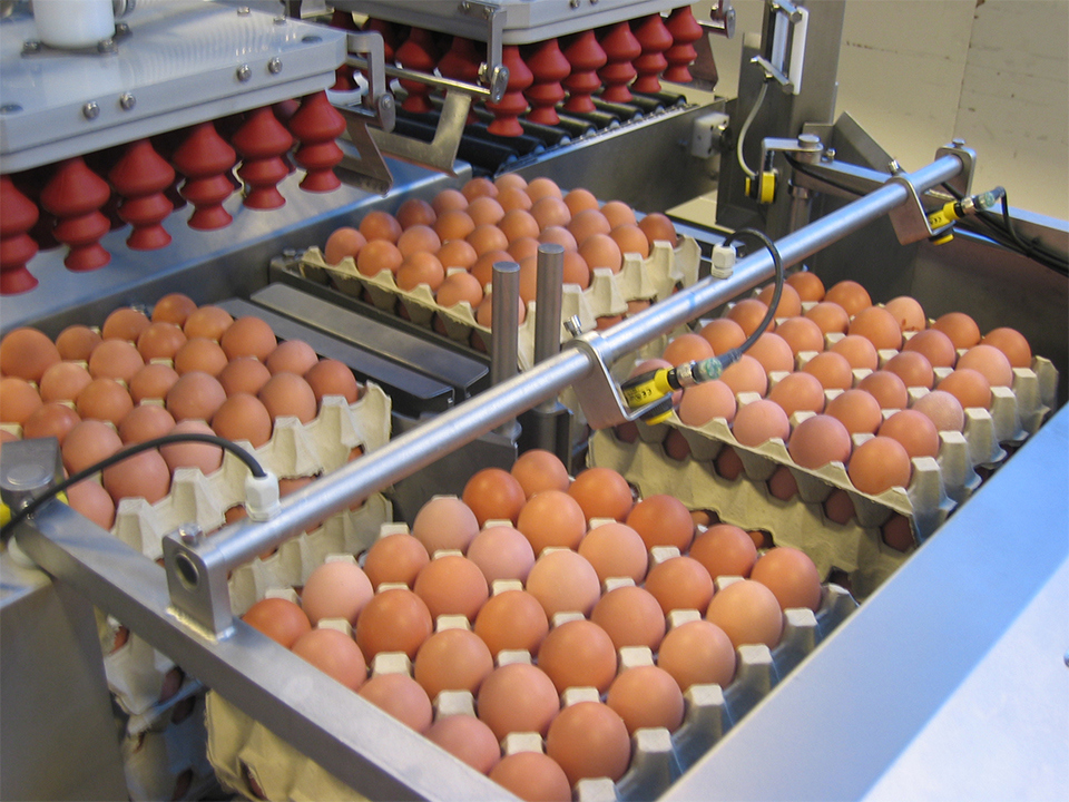OptiLoader Plus 12C | Reliable Egg Loader with Gentle Handling | Sanovo ...