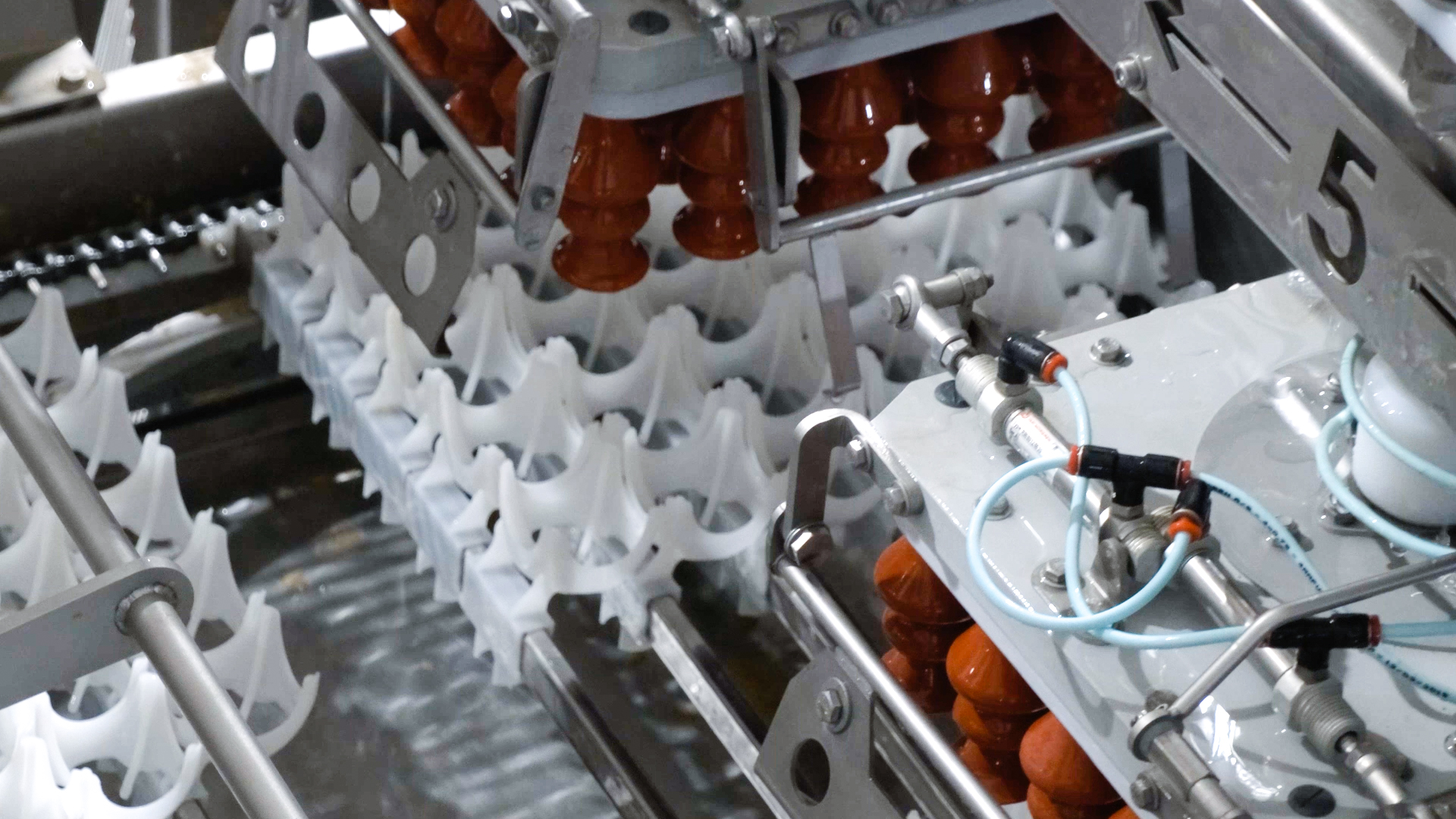 OptiLoader Plus 12C | Reliable Egg Loader with Gentle Handling | Sanovo ...