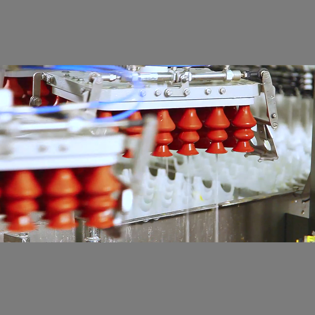 FlexLoader | Versatile Egg Loader for Grading and Breaking Operations ...