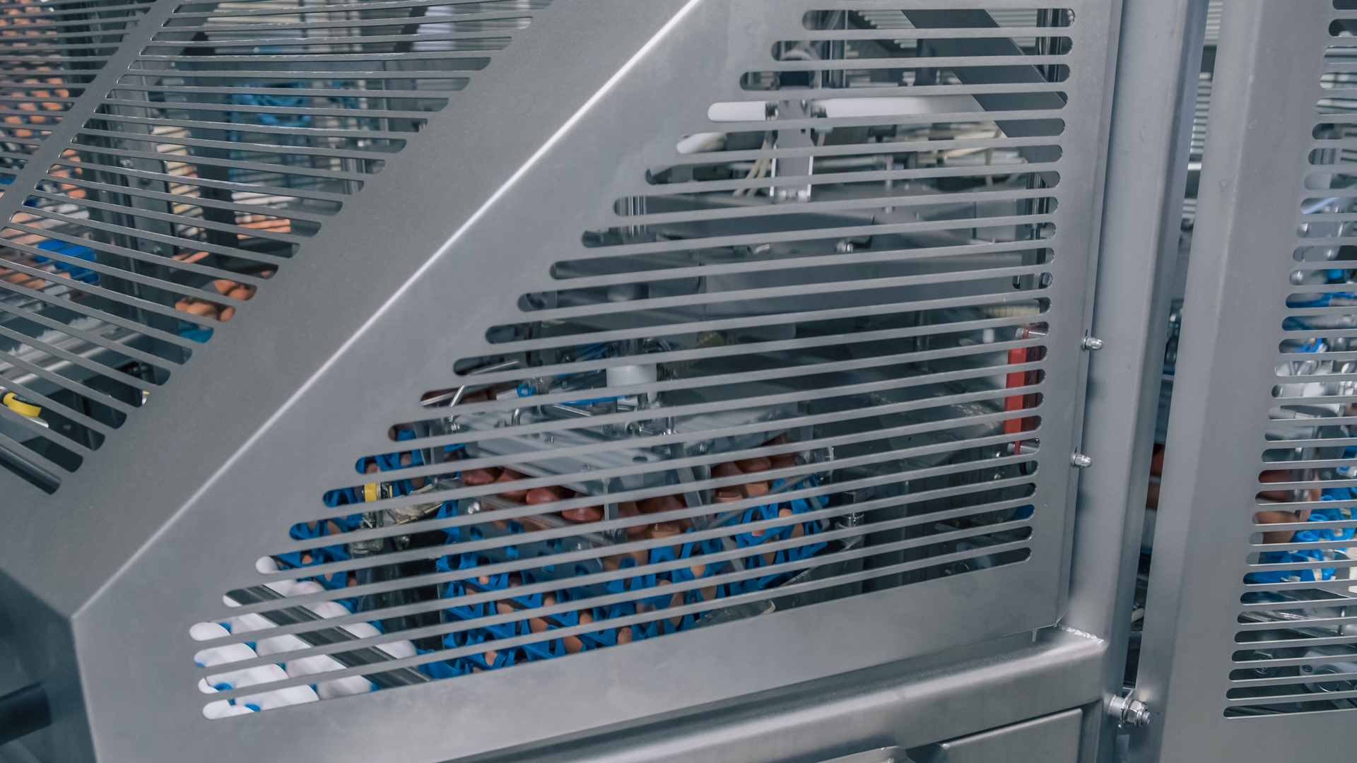 OptiLoader Plus 12 | Efficient Egg Loader for Breaking Machines ...