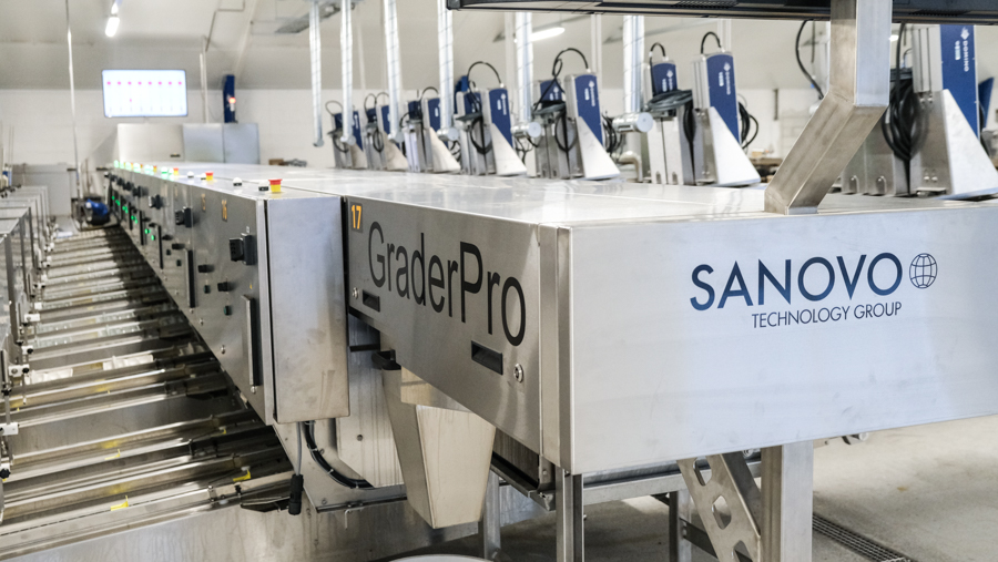 GraderPro 220 Egg Grading Machine: 79,200 Eggs/Hour with Single Egg ...
