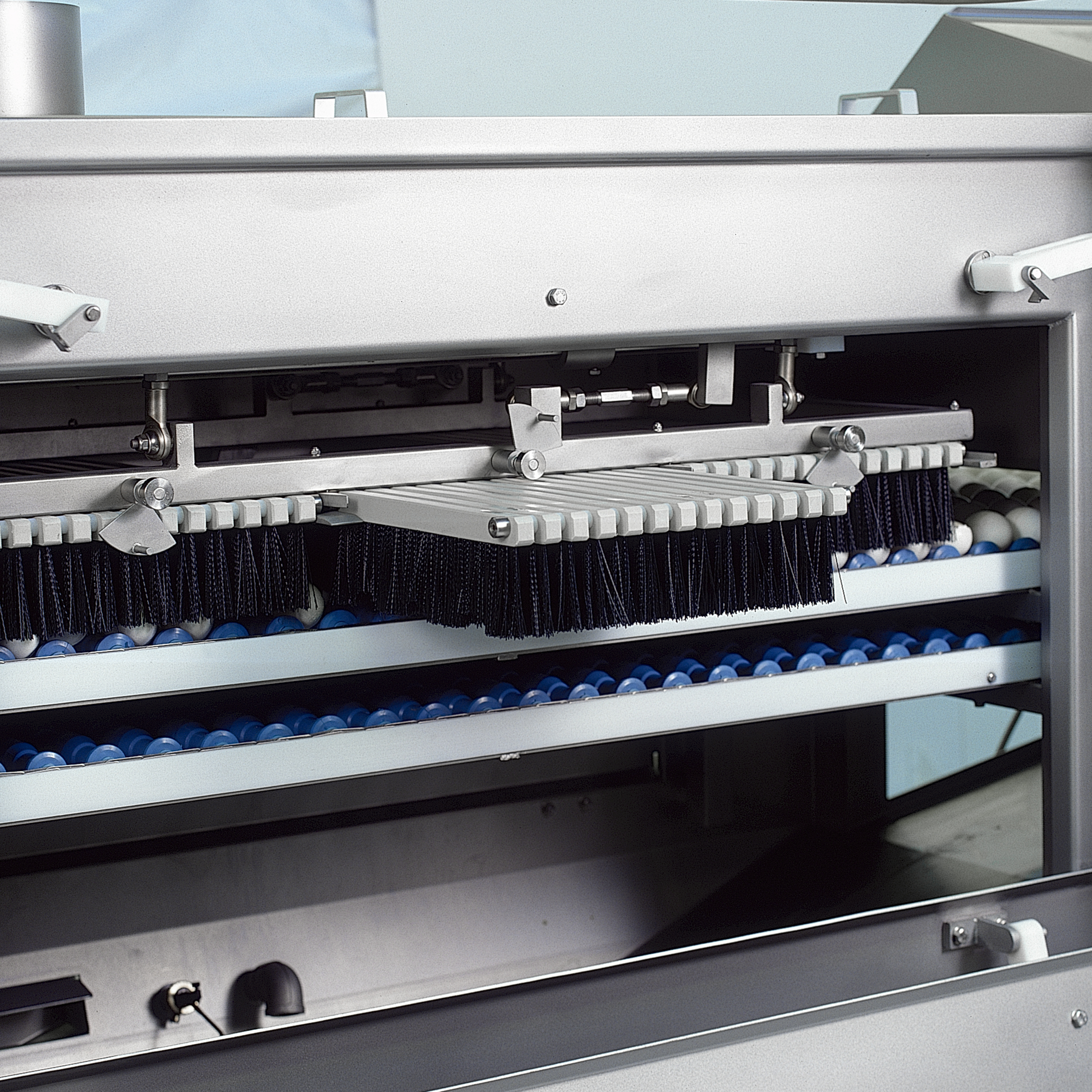 SANOVO Egg Washer 6-8 | Compact & Modular Egg Washing System | Sanovo ...