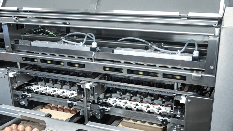 GraderPro 75 - Efficient & Reliable Egg Sorting Solutions | Sanovo ...