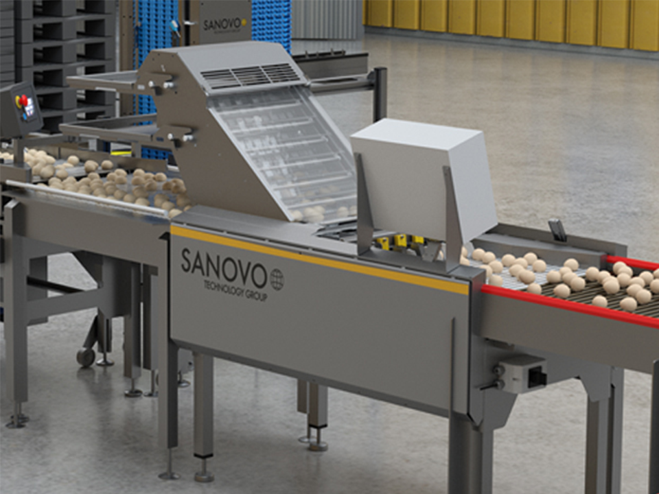 On-Farm Egg Packing Station | Efficient & Hygienic Egg Handling ...