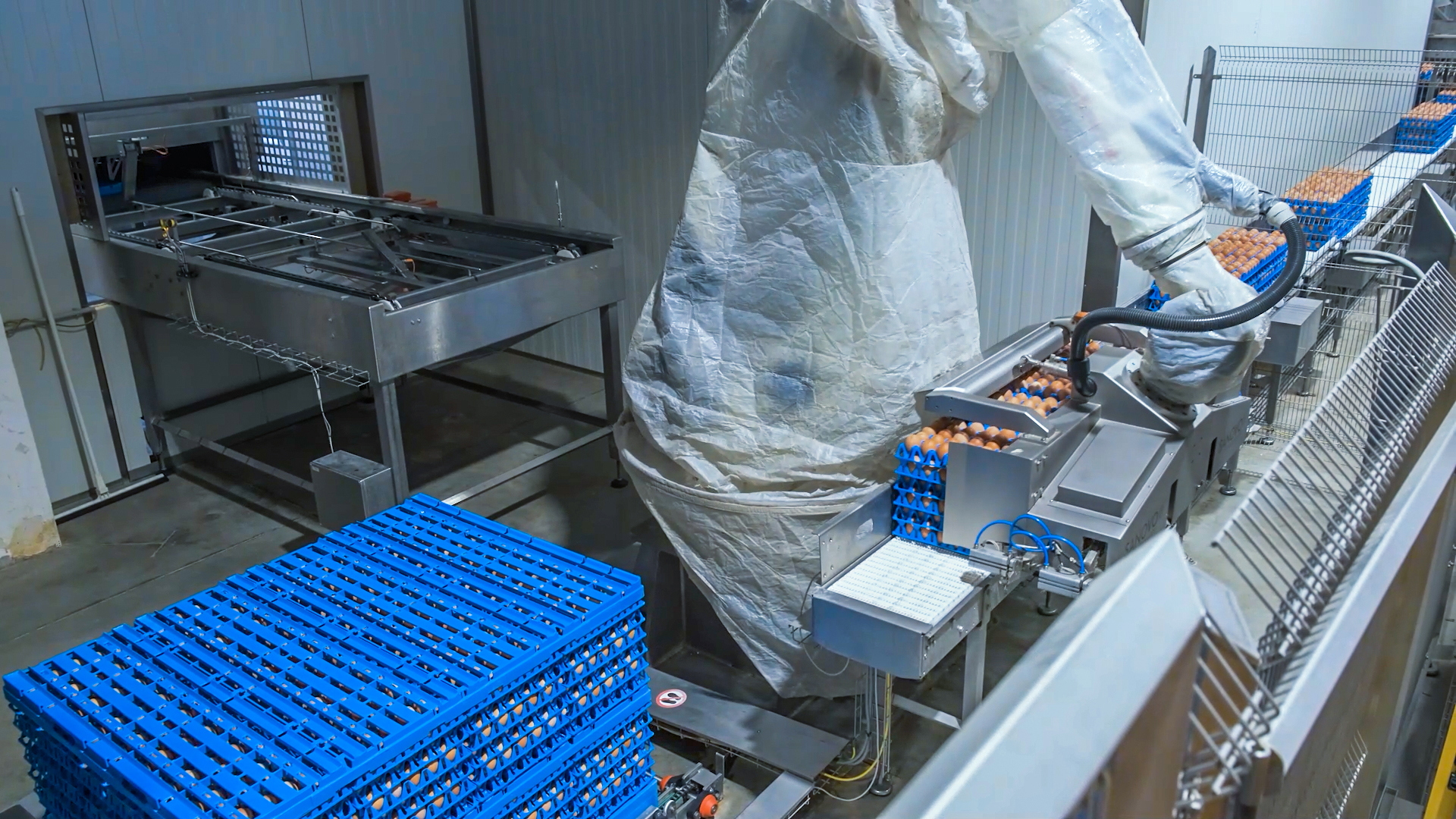 Depalletizer 600 | High-Capacity Egg Tray, Pallet, and Interlayer ...