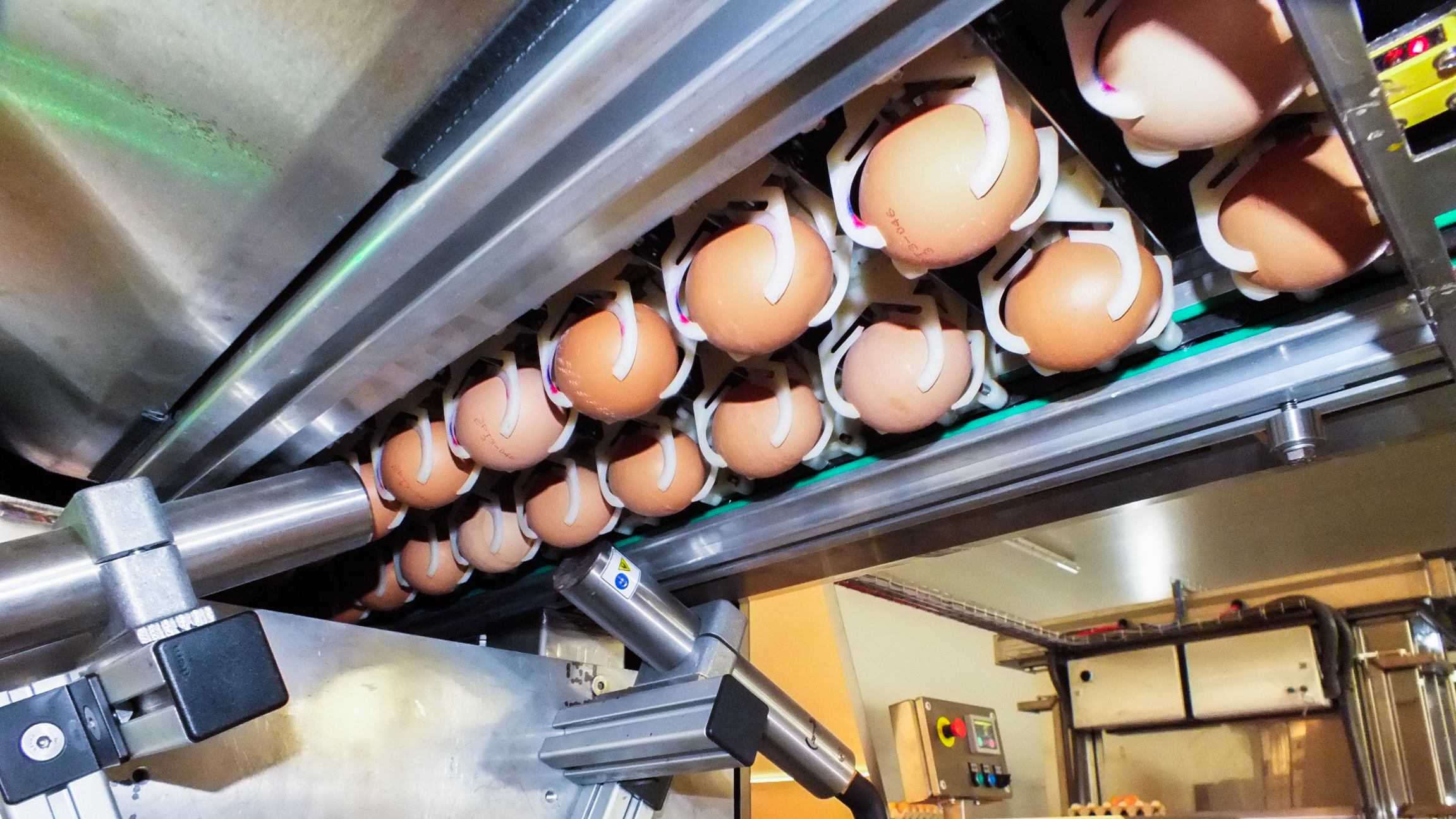 Ardenta 300 Egg Grading Machine | Hygienic Design and Simplified ...
