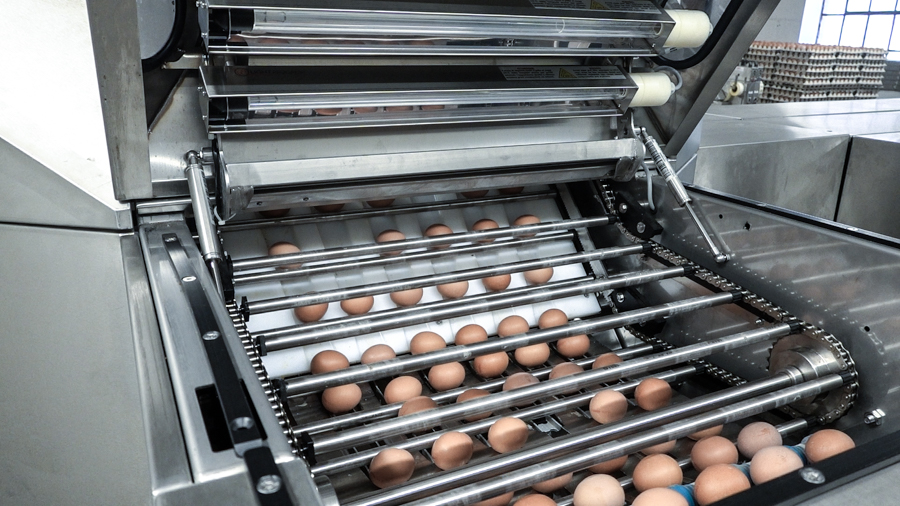 GraderPro 75 - Efficient & Reliable Egg Sorting Solutions | Sanovo ...