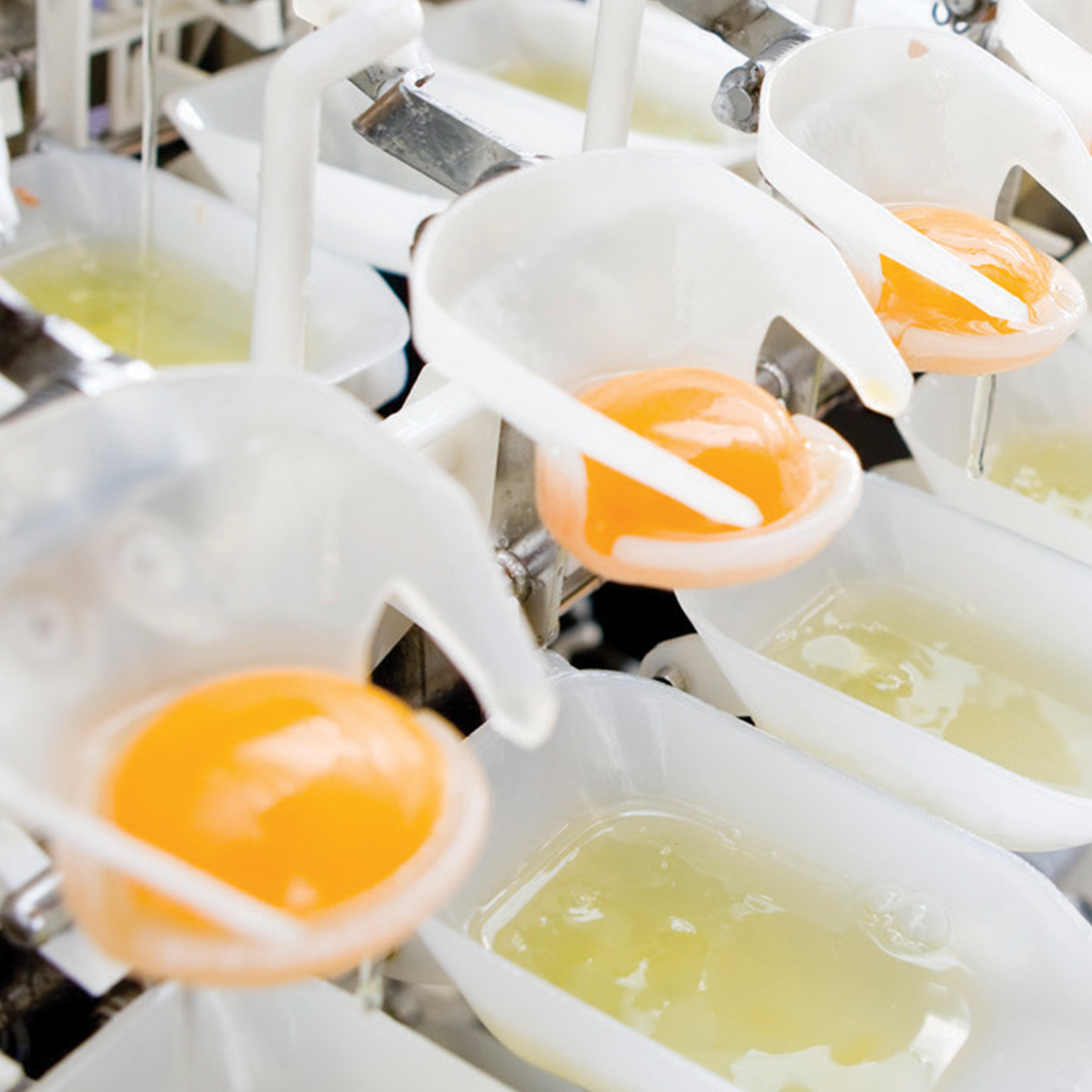 SANOVO OptiBreaker Plus 18: Our Egg Breaking Machine for Liquid Egg ...