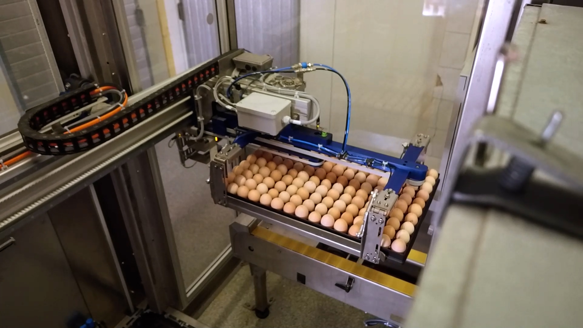 HatchPerformance Trolley Loader | Automated Setter Tray Stacking for ...