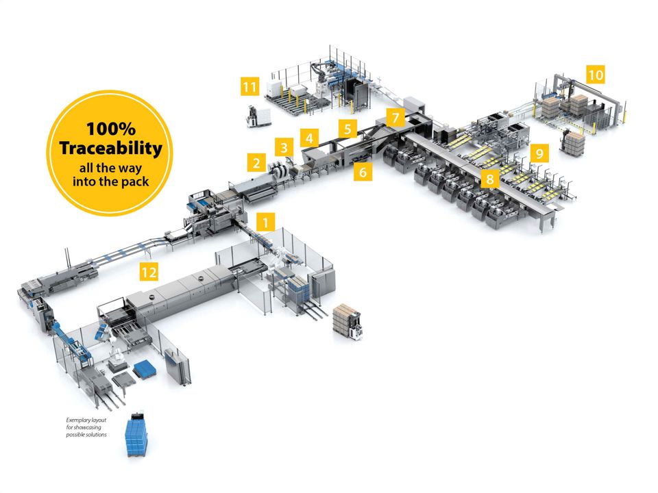 Medium-sized grading & packing station | Scalable & Efficient Egg ...